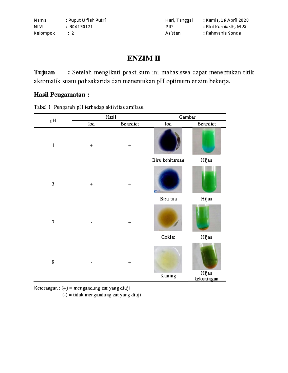 Laporan Praktikum Biokimia Umum: Enzim II - NIM : B04190121 PJP : Rini ...
