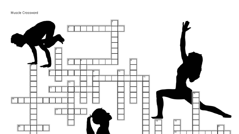 Muscle Anatomy Crossword Puzzle ACROSS & DOWN - Studocu