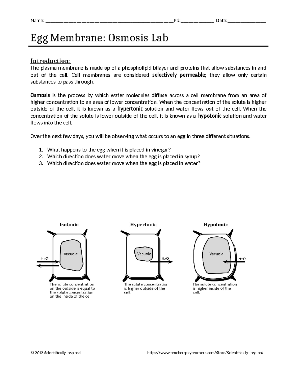 Ryan Ruzzo - 4.0 Osmosis Egg Lab - Name: ______________________Pd: Date ...