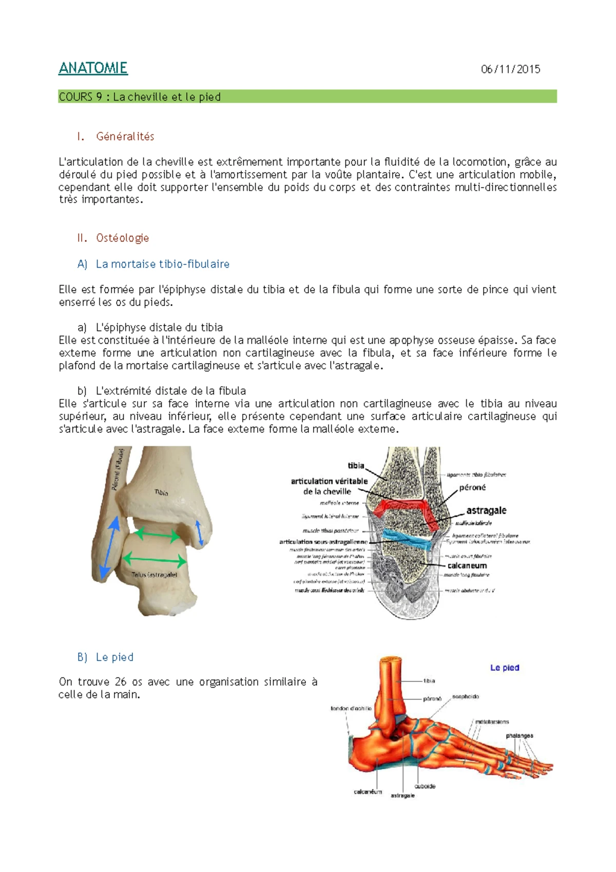 Le rachis - cours complet - CM Anatomie Ostéologie, Arthrologie ...