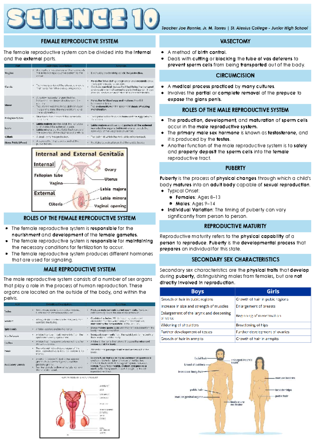 G10 Q3 Lecture Notes: Female & Male Reproductive Systems - Studocu