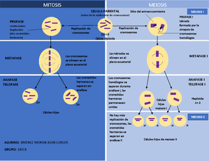 [Solved] Se le llama as a la ausencia del pezn mamario A Politelia B ...