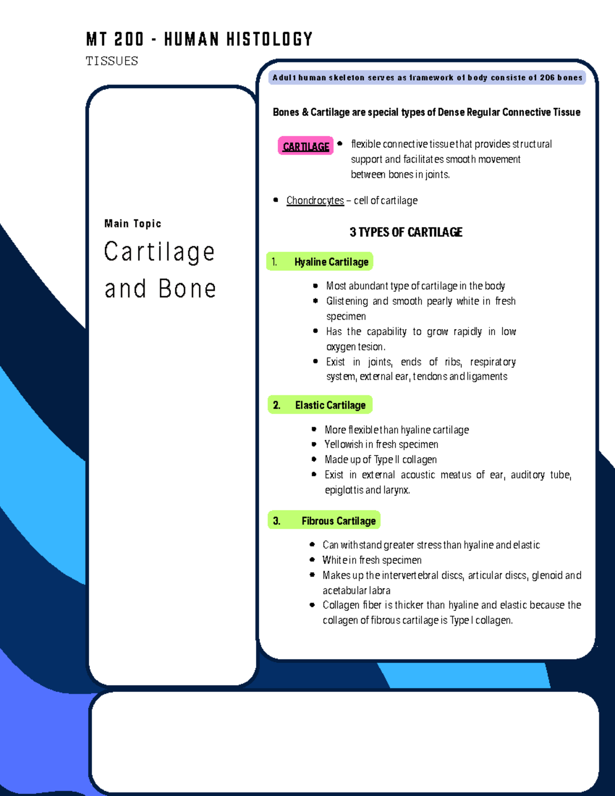 Cartilage and Bone Overview (BIO 101) - Key Tissue Types and Functions ...