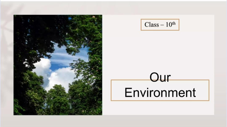 Class 10th Our Environment: Understanding Ecosystems and Energy Flow ...