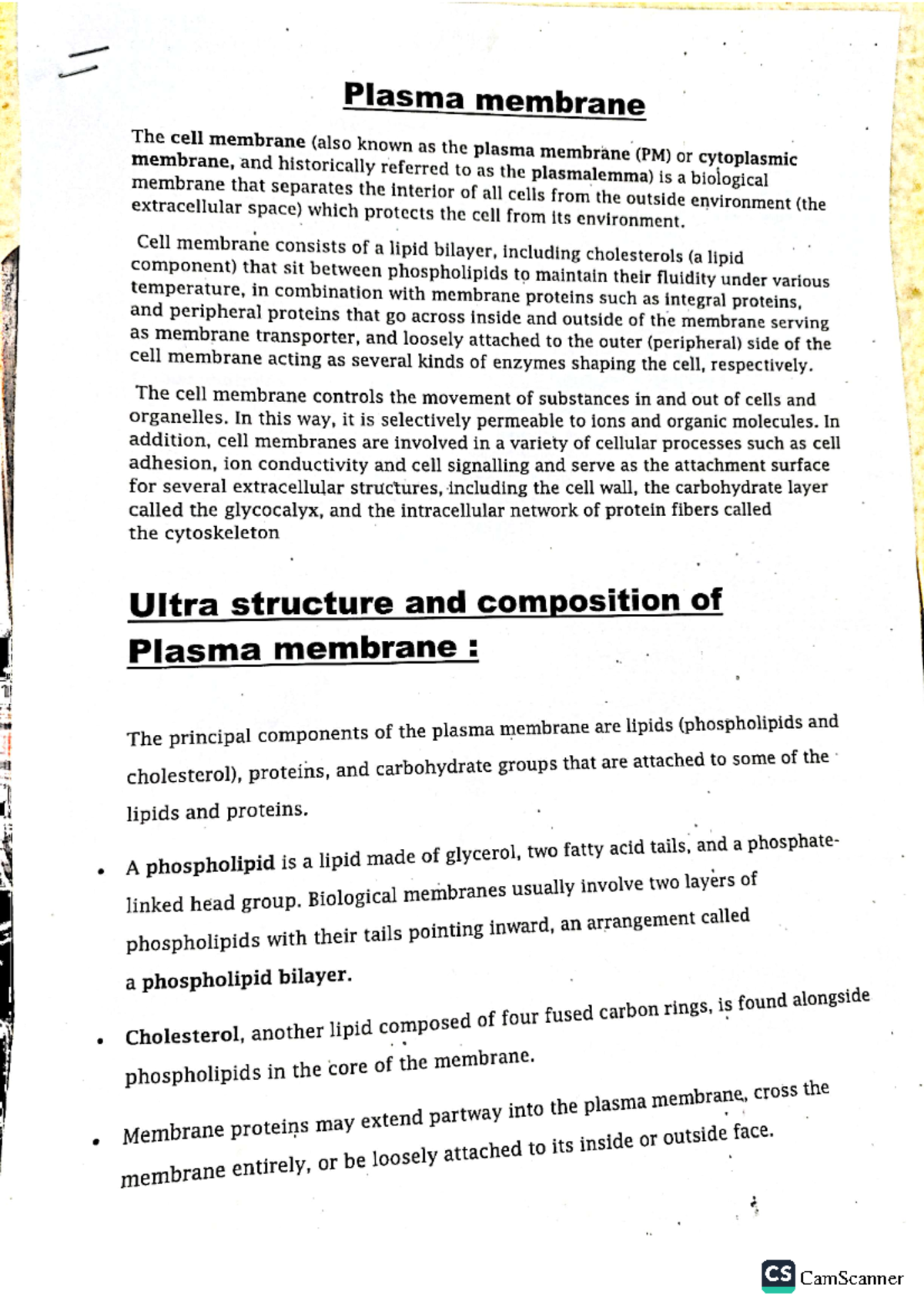 CS Chapter Notes on Plasma Membrane Structure and Function - Studocu