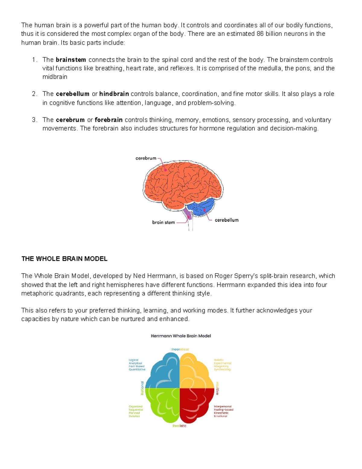 The human brain and its functions: A personal development guide - Studocu