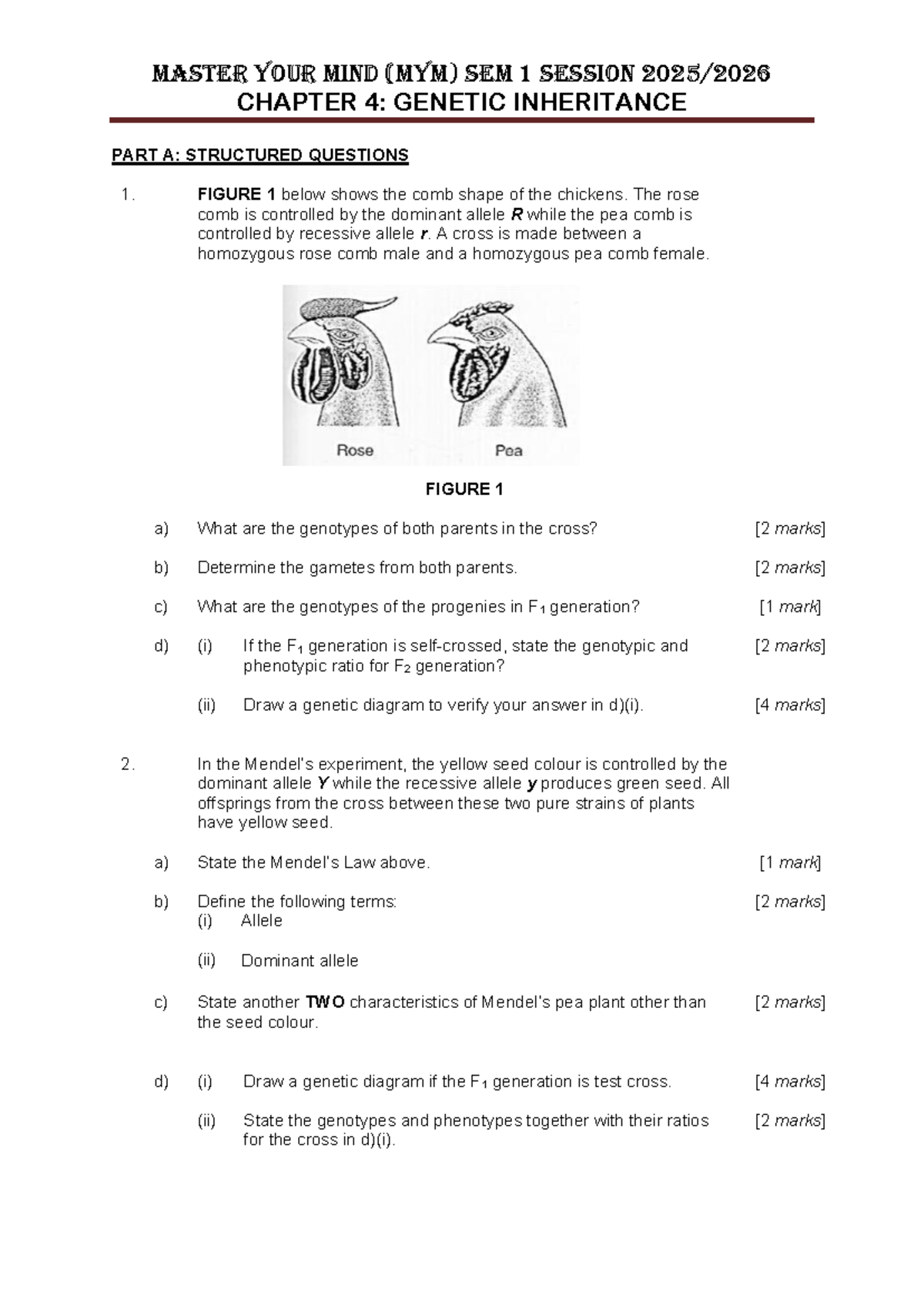 MYM SEM 1 CHAPTER 4: GENETIC INHERITANCE STRUCTURED QUESTIONS - Studocu