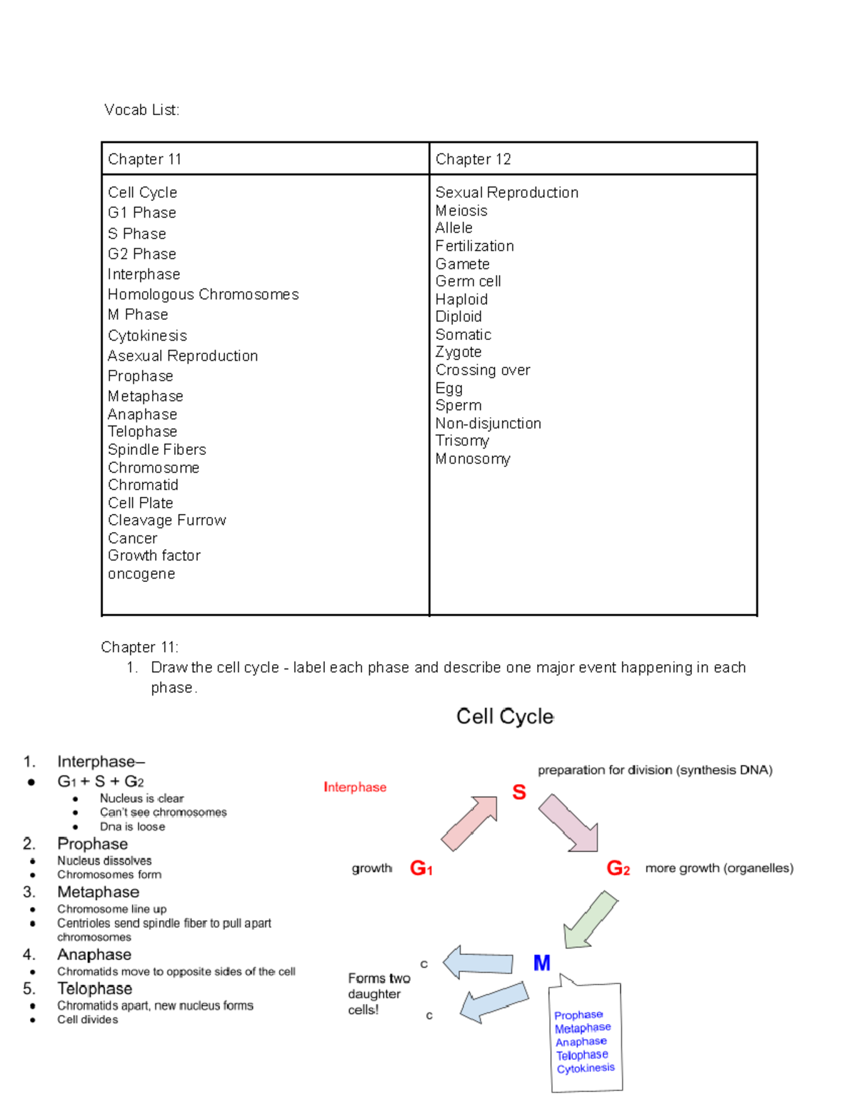 Biology 101: Unit 4 Study Guide - Cell Cycle & Reproduction Terms - Studocu