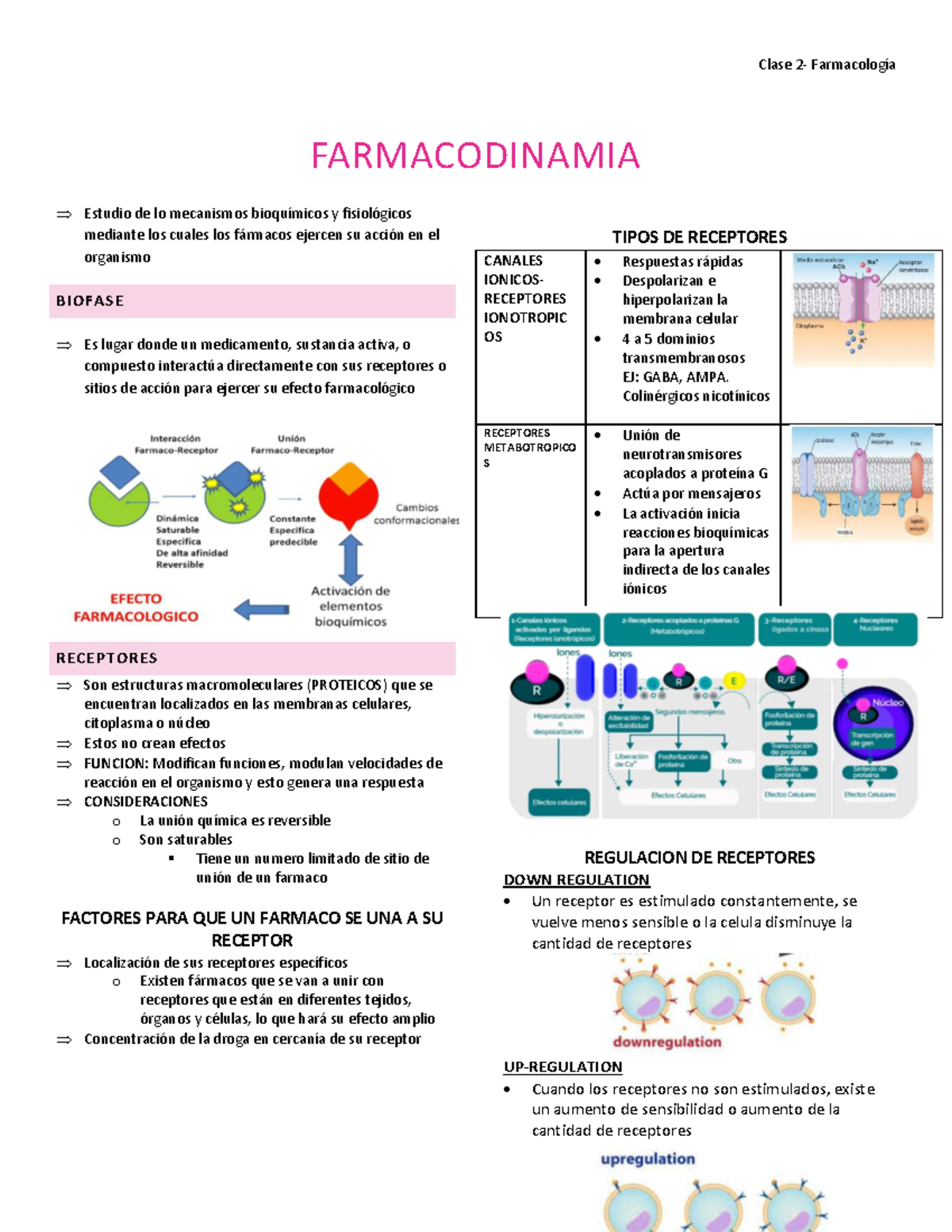 Farmacología: Estudio de Farmacodinamia y Mecanismos de Acción - Clase 2 - Studocu