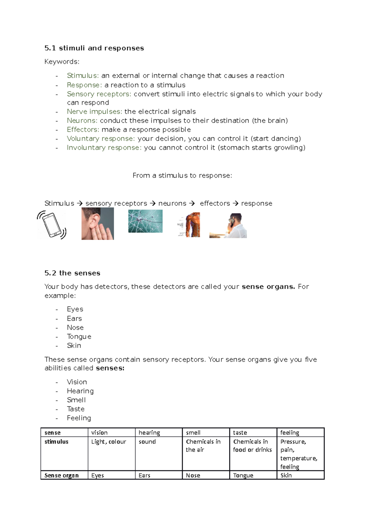 Biology 1VWO TTO Summary: Chapter 5 - Senses & Nervous System Insights ...