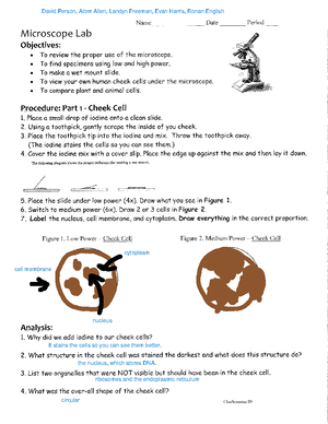 ATI ALT intramuscular med admin Skills complete - Indications Nursing ...