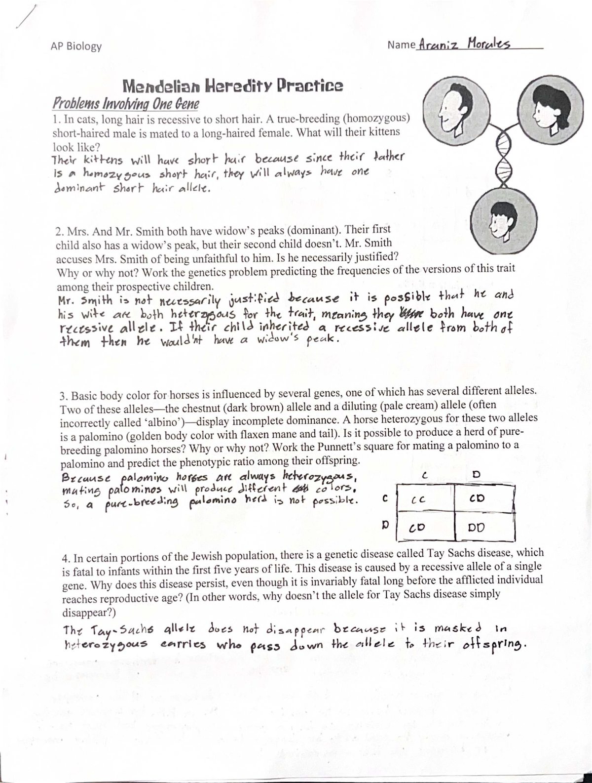 AP Biology Mendelian Heredity Practice Problems - Studocu