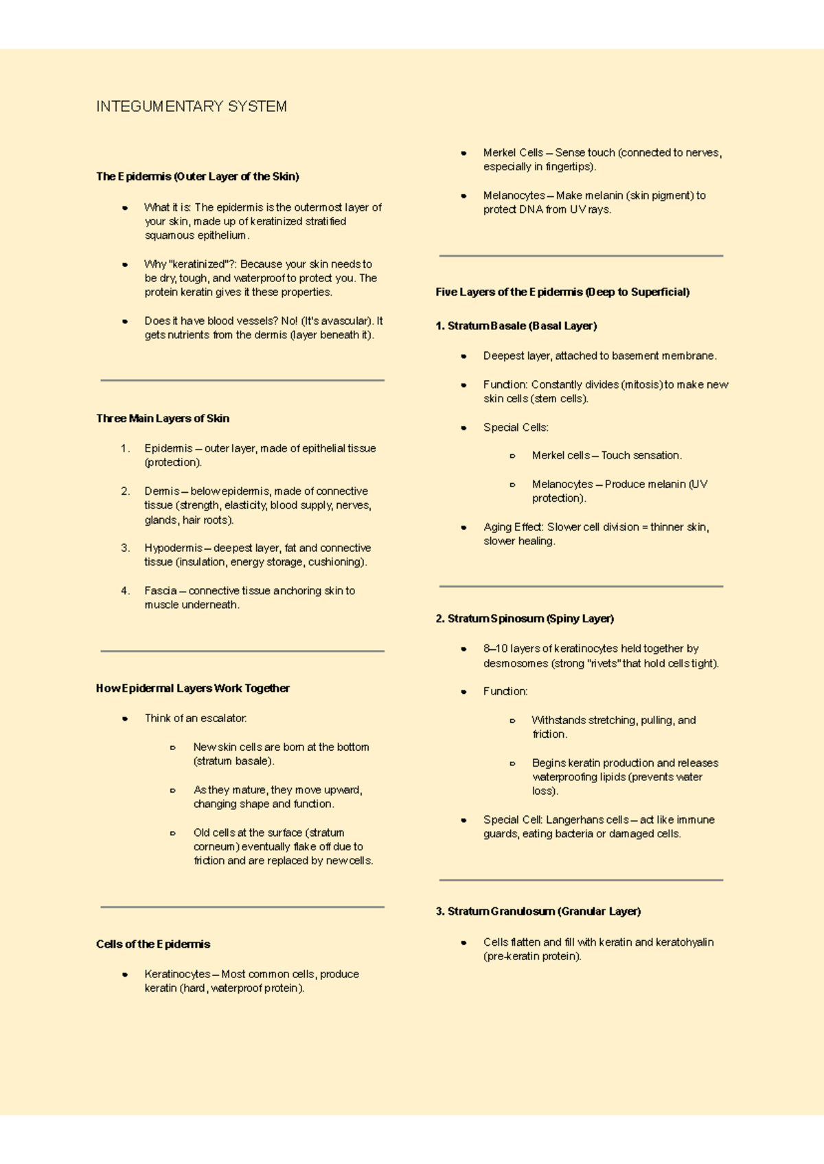 INTEGUMENTARY SYSTEM Overview: Structure, Function, and Aging Effects - Studocu