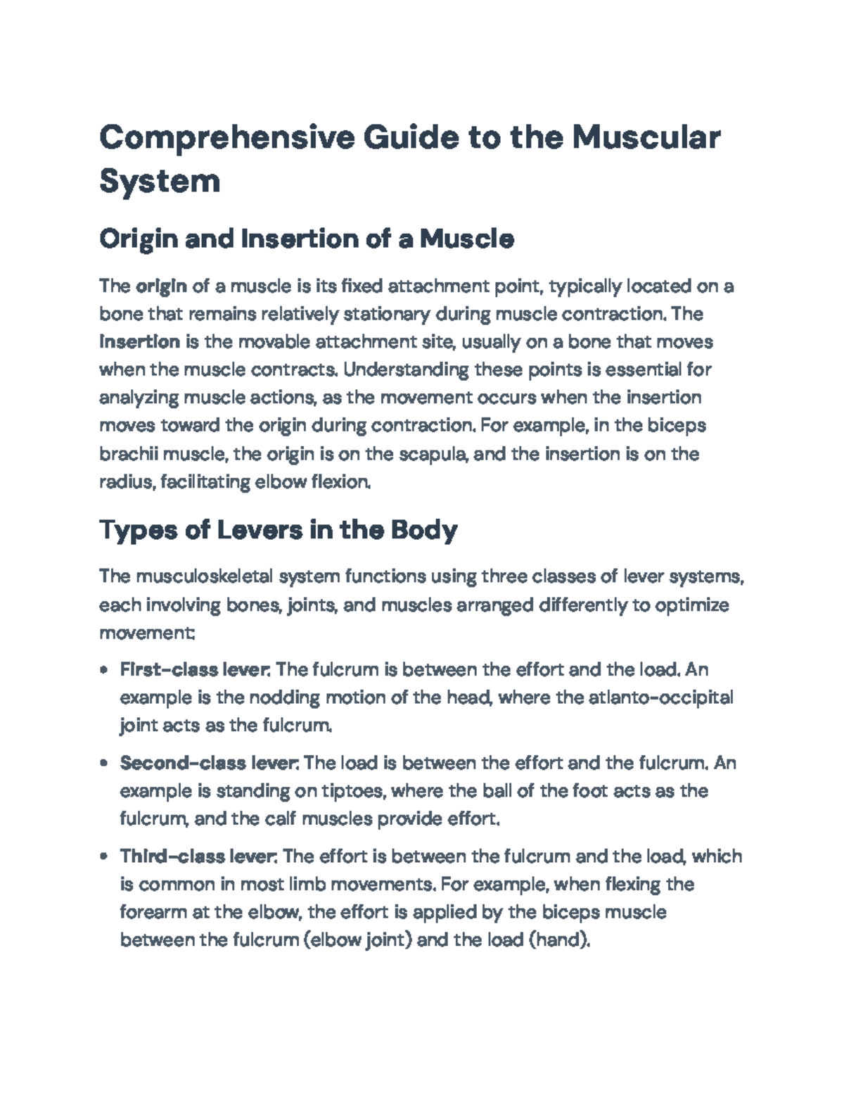 Comprehensive Overview of the Muscular System: Functions & Anatomy ...