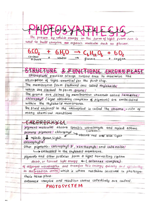 Photosynthesis A Level OCR A Biology Notes: Chloroplast & Calvin Cycle ...