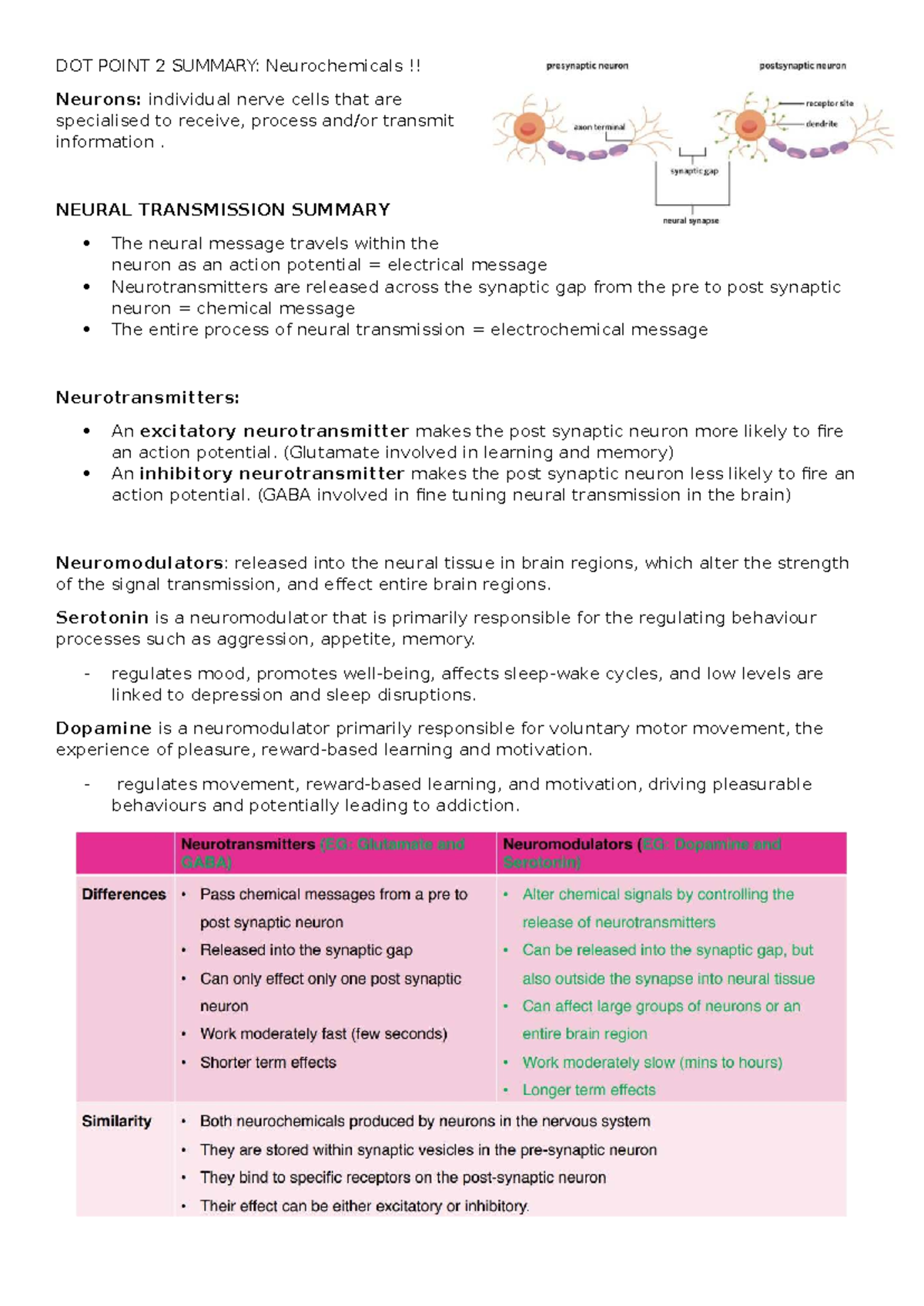 DOT Point 2 Summary: Neurochemicals & Neural Transmission Insights ...