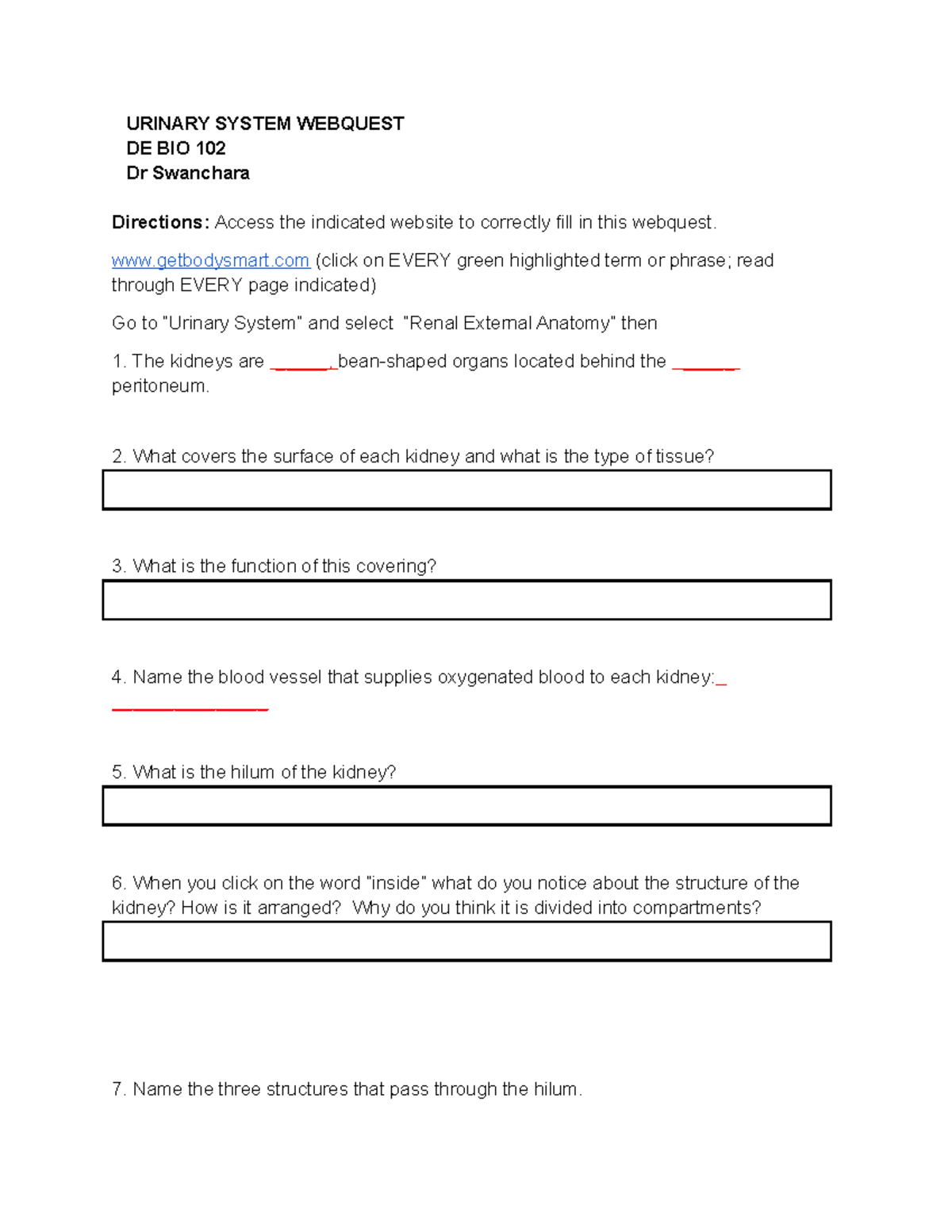 DE BIO 102: Urinary System Webquest Instructions - Studocu