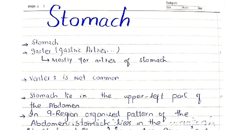 GI Anatomy Stomach - Lecture Notes (CS) - Studocu