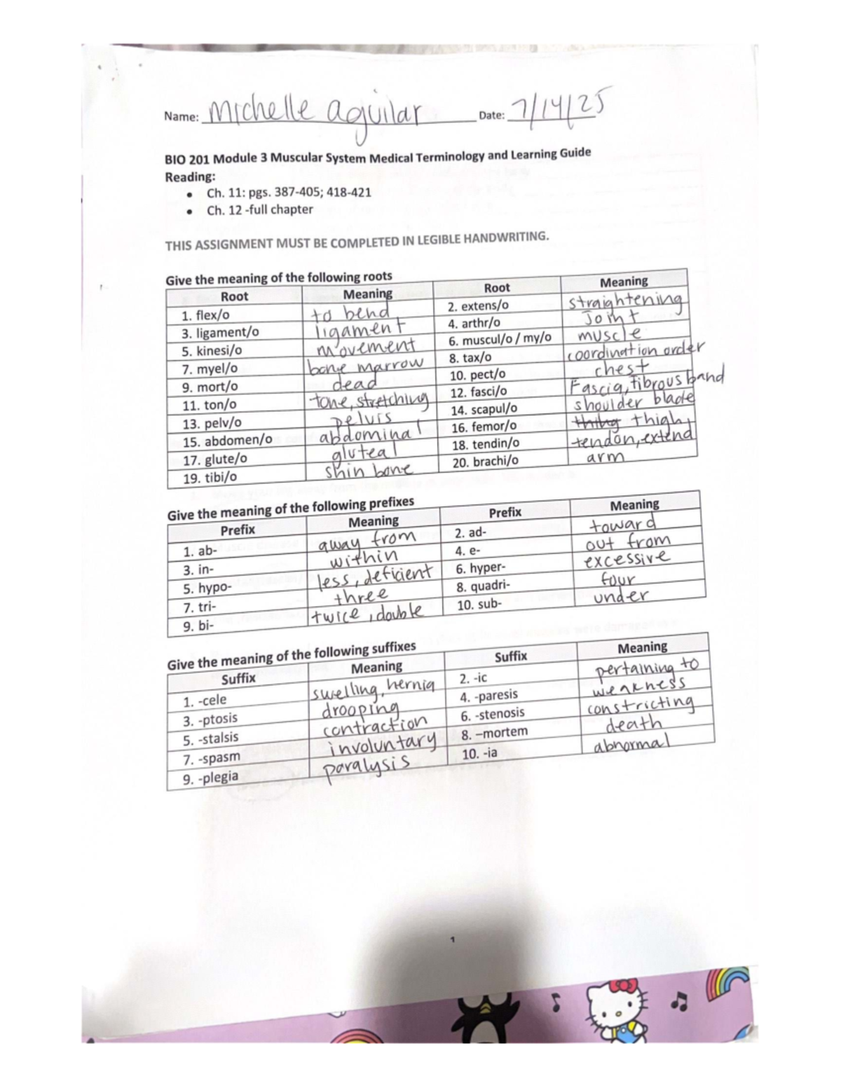 BIO 201 Module 3 Muscular System Terminology & Learning Guide - Studocu