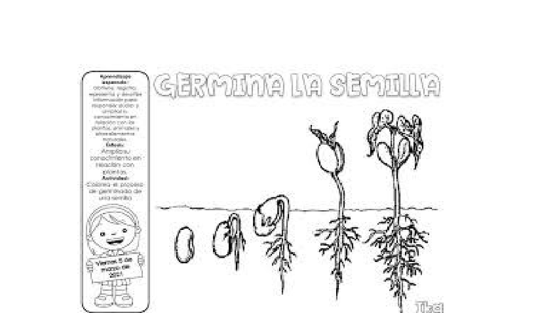 Doc1 - genial - desarrollo del lenguaje - .::-.:.':.' '.-I- H.-I'_ II M ...