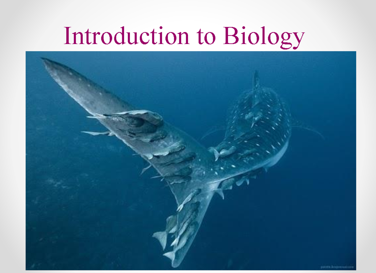 Biology 101: Characteristics of Life & Scientific Method Overview - Studocu