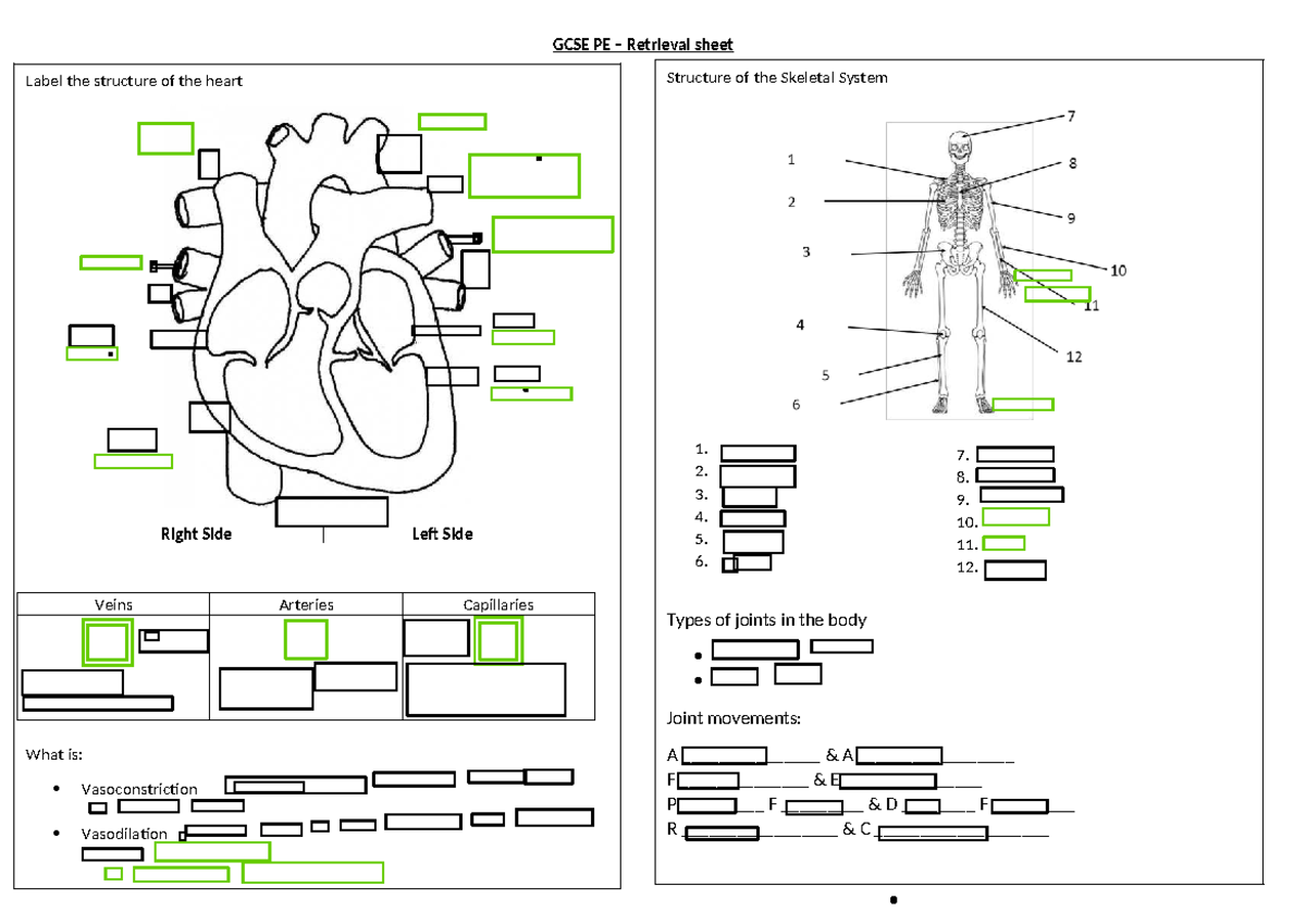 GCSE PE - Worksheet - GCSE PE – Retrieval sheet Label the structure of ...