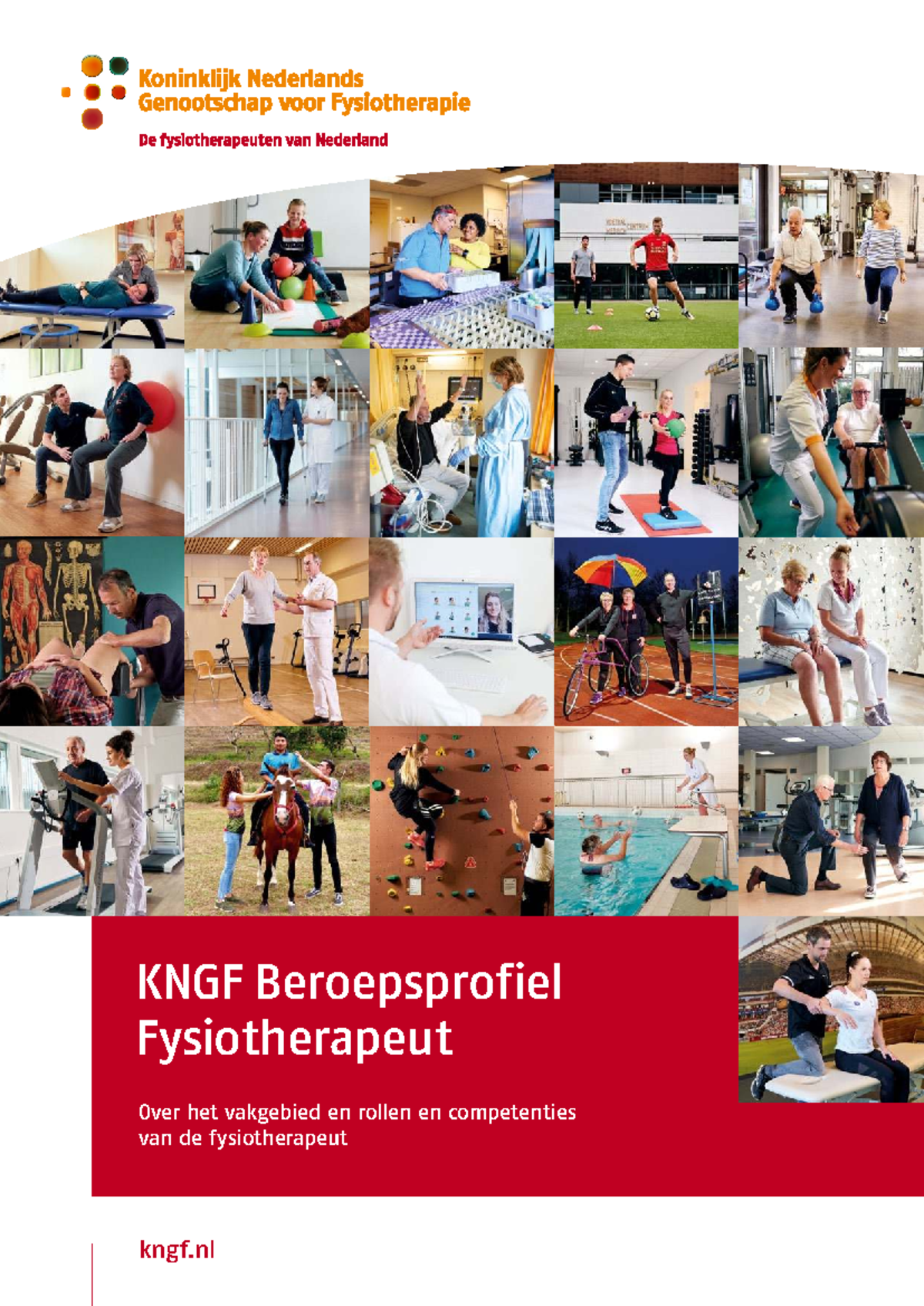 KNGF Beroepsprofiel Fysiotherapeut 2021: Rollen, Competenties en ...