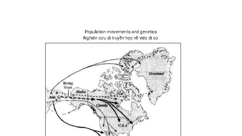 Population Movements and Genetics: A Study of Human Migration - Studocu