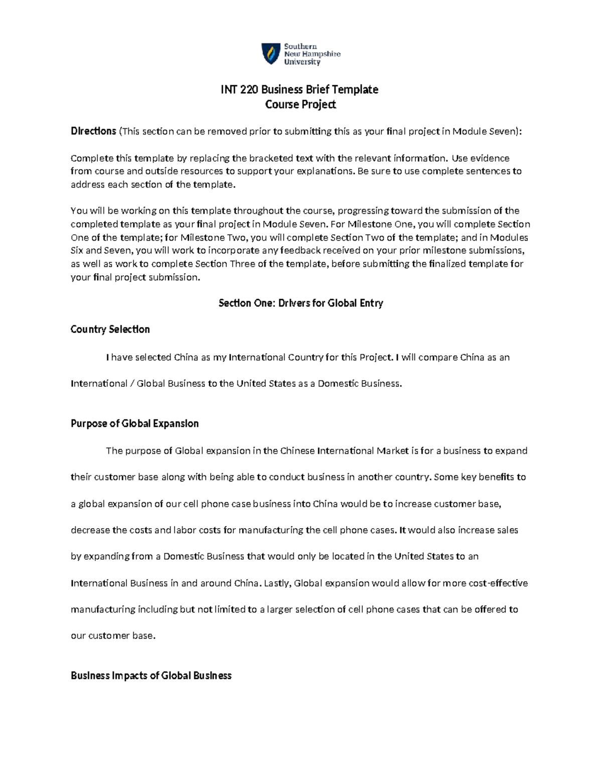 INT 220 Business Brief Template Module 2 - INT 220 Business Brief ...