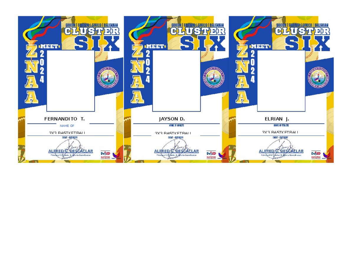 Athlete ID- Coach - SAMPLES - BSEd- Science - FERNANDITO T. 3X3 ...