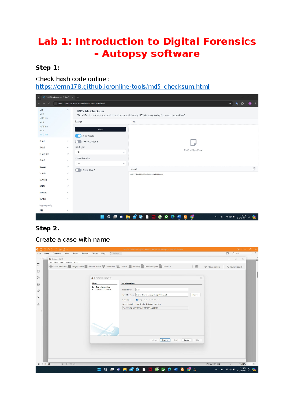Lab 1 - Dont watch - Risk Management - Lab 1: Introduction to Digital Forensics – Autopsy ...