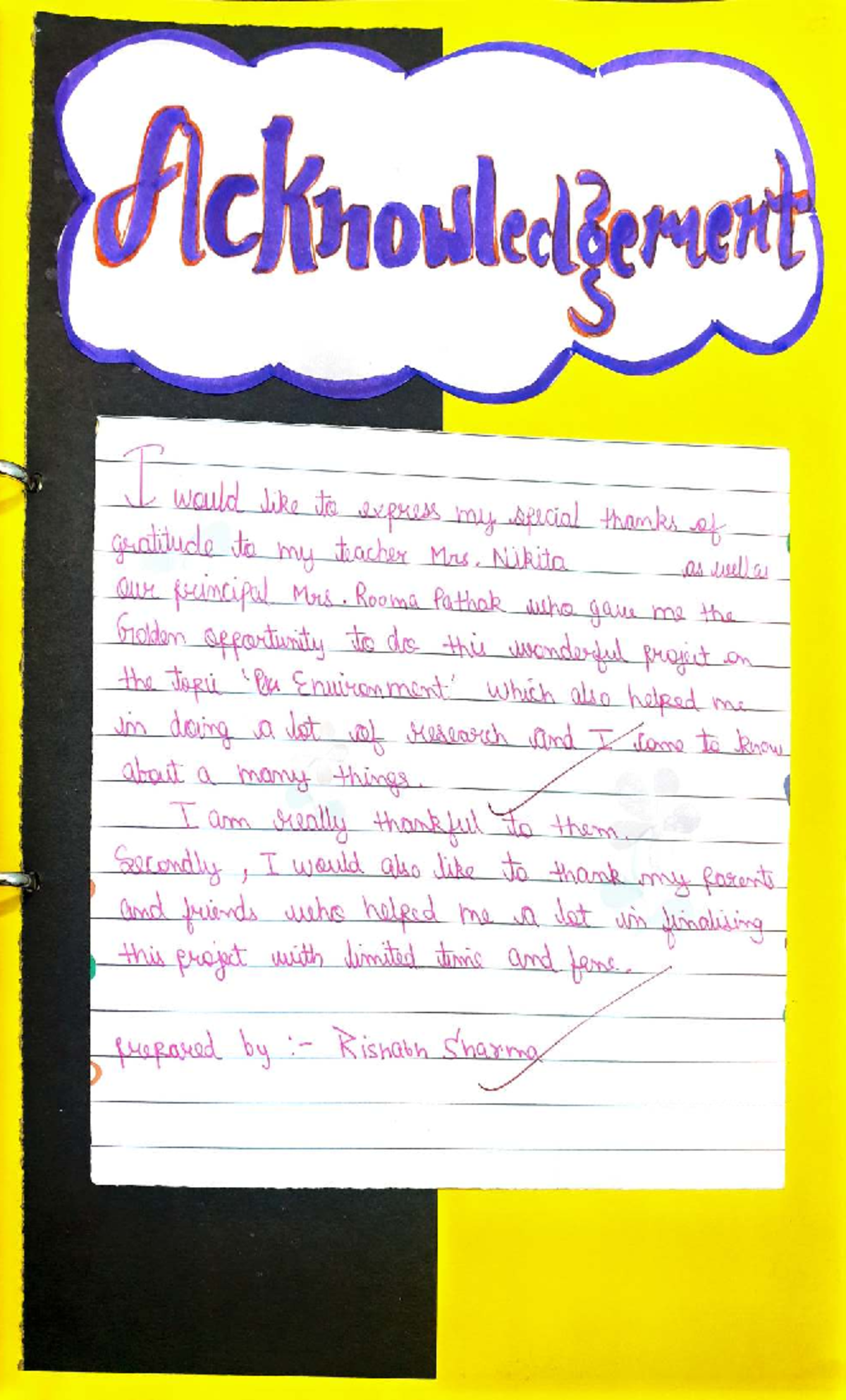 Economics Project: Environment and Sustainable Development (Class 12 ...