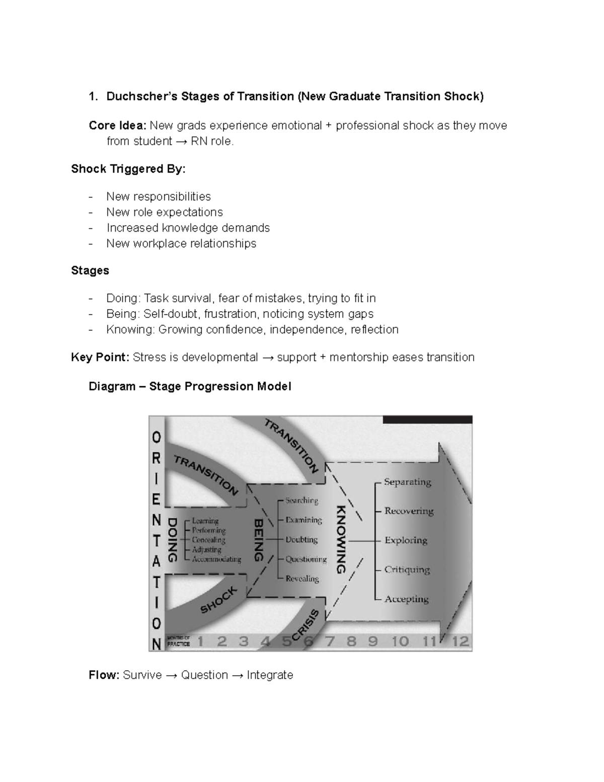 NSG 3103 A - Reflective Writing 1: Transition Shock & Theory Insights ...