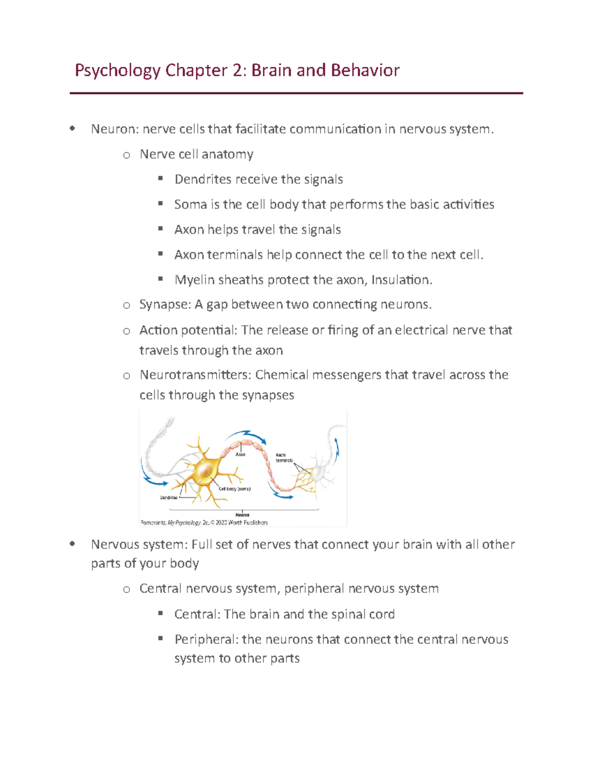 Psychology Chapter 2 Notes - Psychology Chapter 2: Brain and Behavior ...