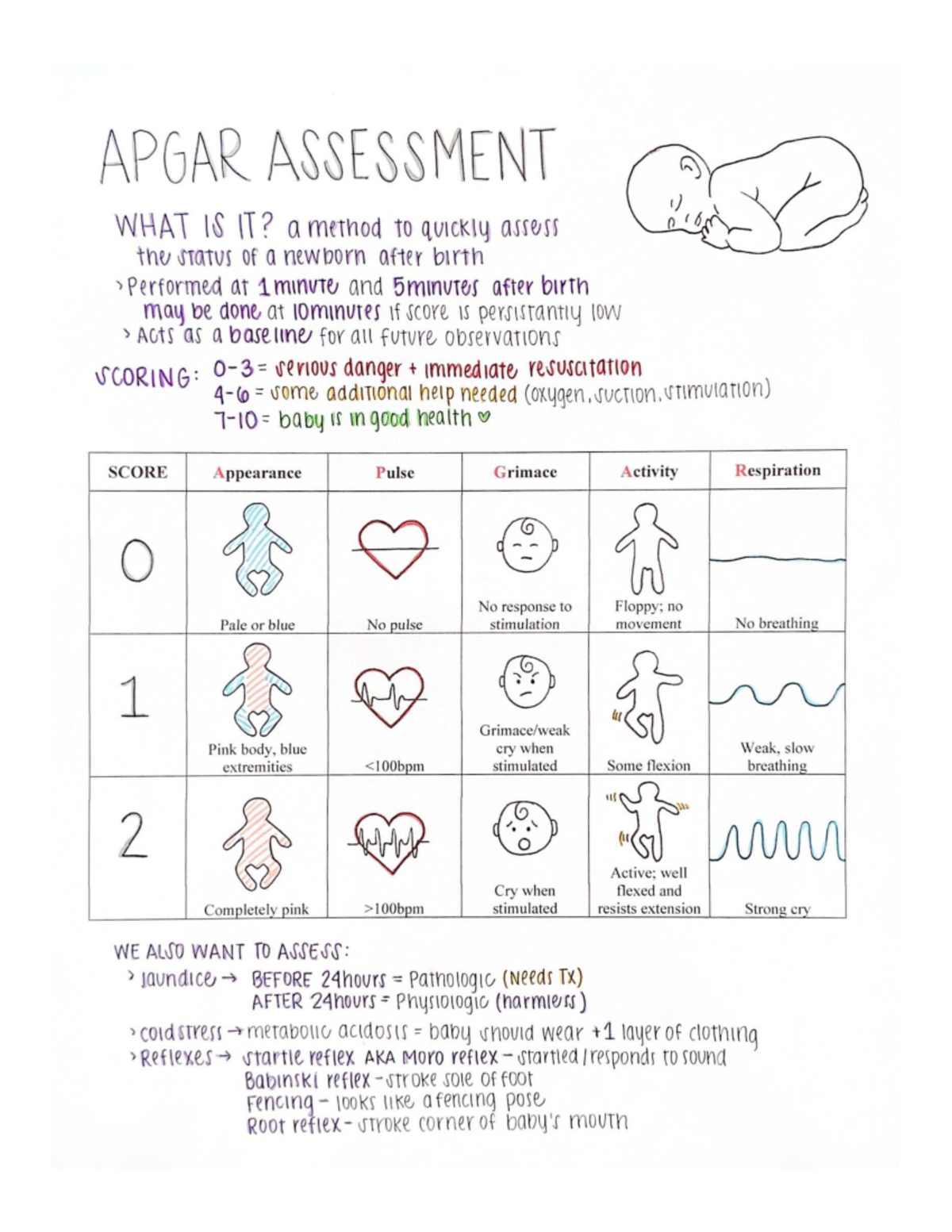 Maternity Bundle - APGAR Assessment Overview and Scoring Guide - Studocu