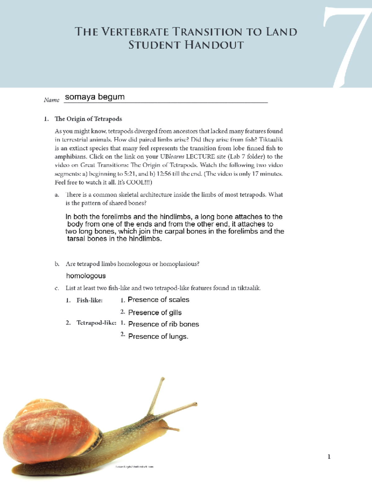 The Vertebrate Transition to Land: Study Notes for BIO 200LLB B Fall 24 ...
