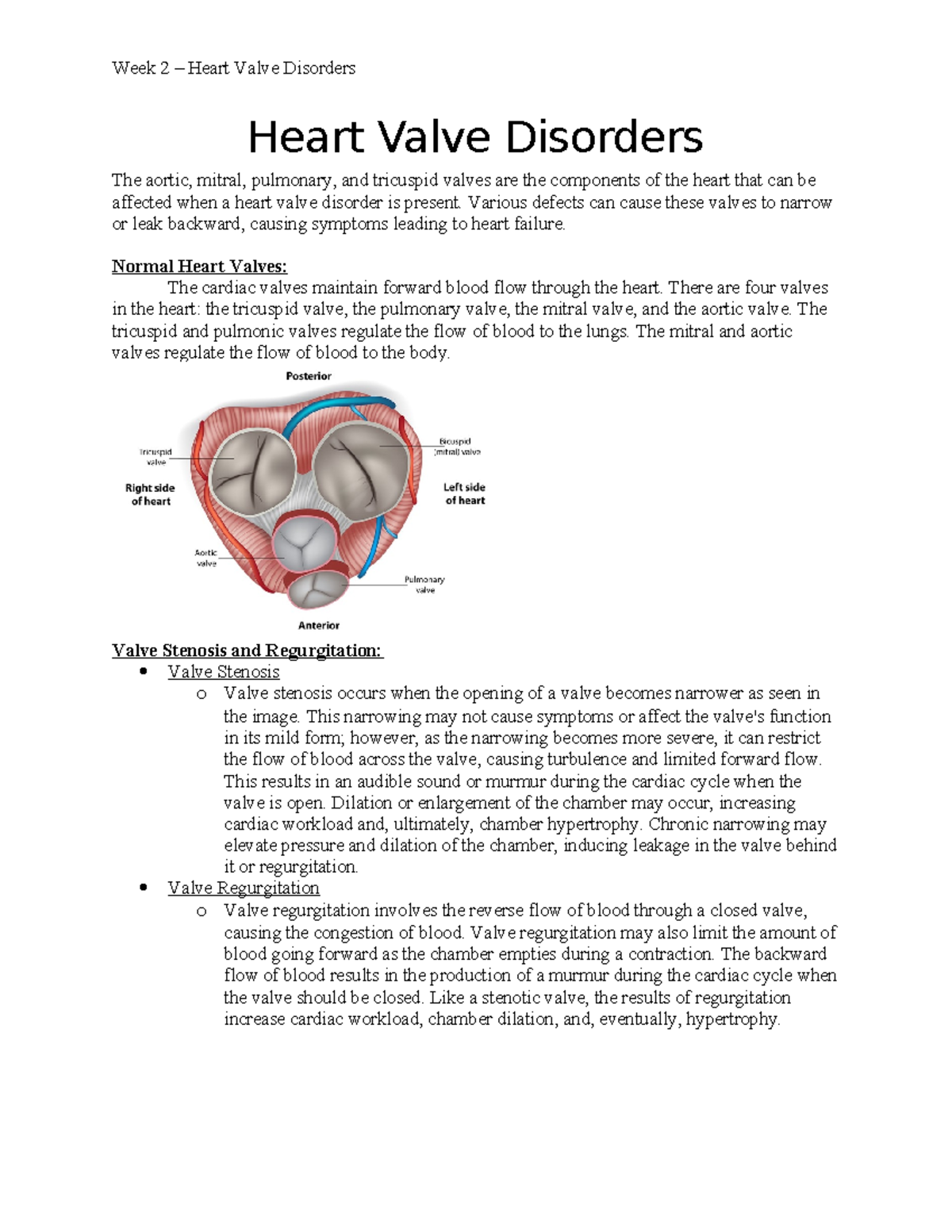 Heart Valve Disorders: Pathophysiology, Symptoms, and Management (EDAPT ...