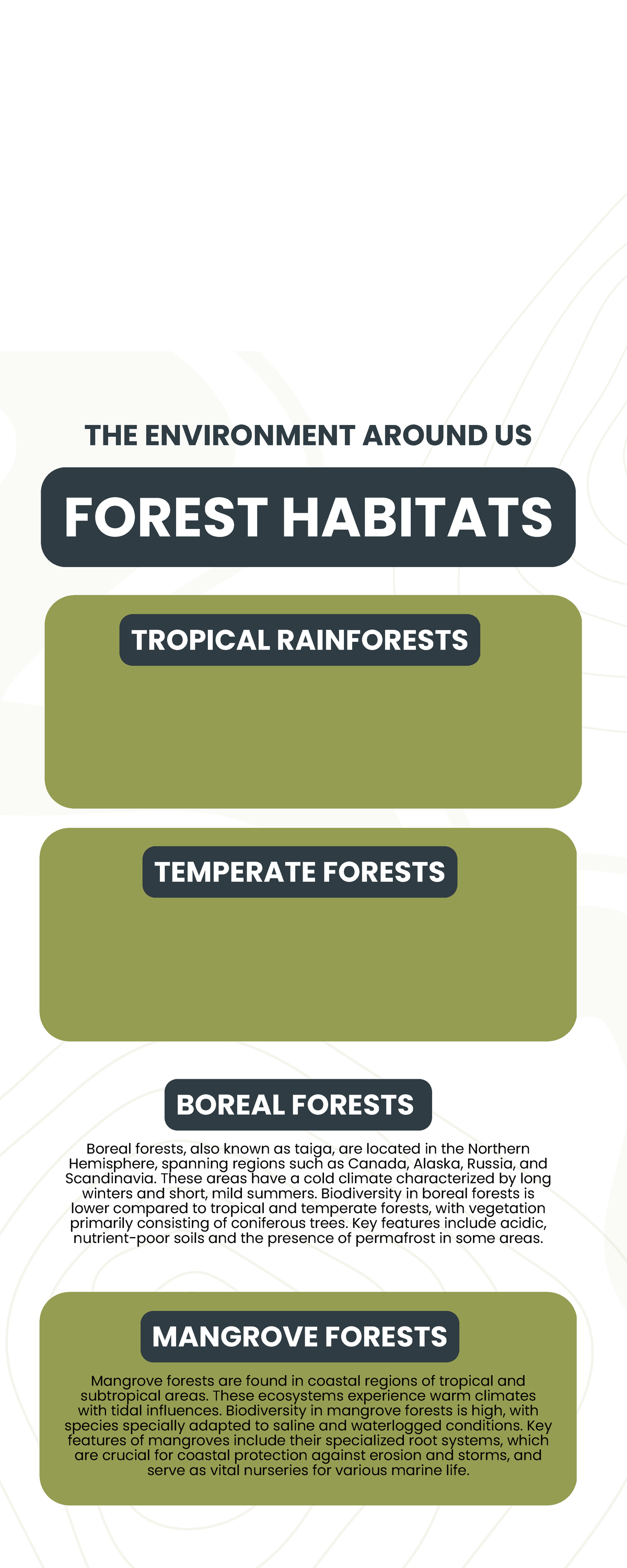 Forest Habitats: Boreal, Tropical & Mangrove Ecosystems (2026) - Studocu