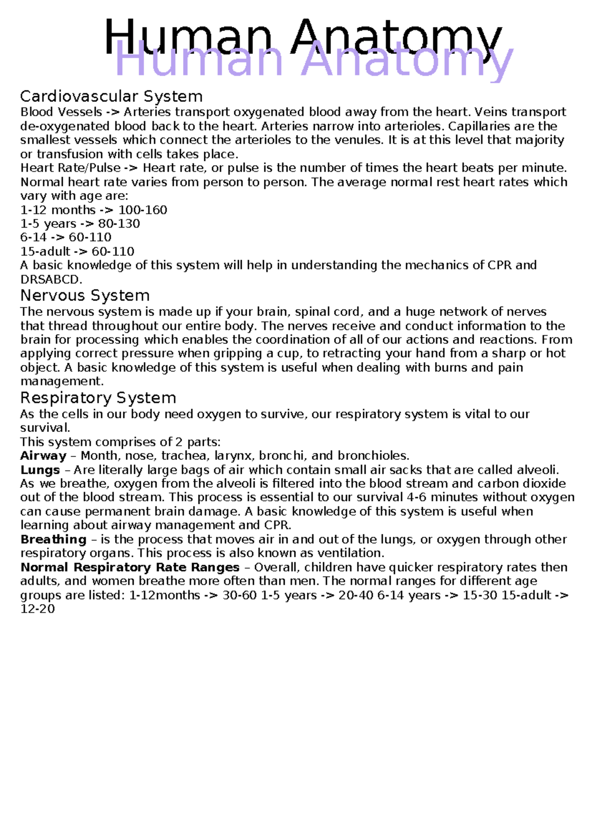 Human Anatomy Notes: Cardiovascular, Nervous, Respiratory Systems - Studocu