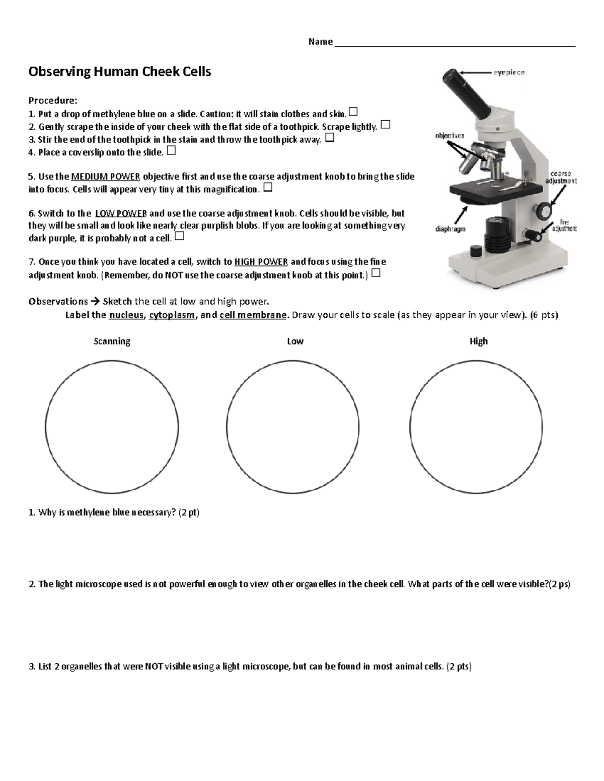 Lab Procedure for Observing Human Cheek Cells (Biology 101) - Studocu