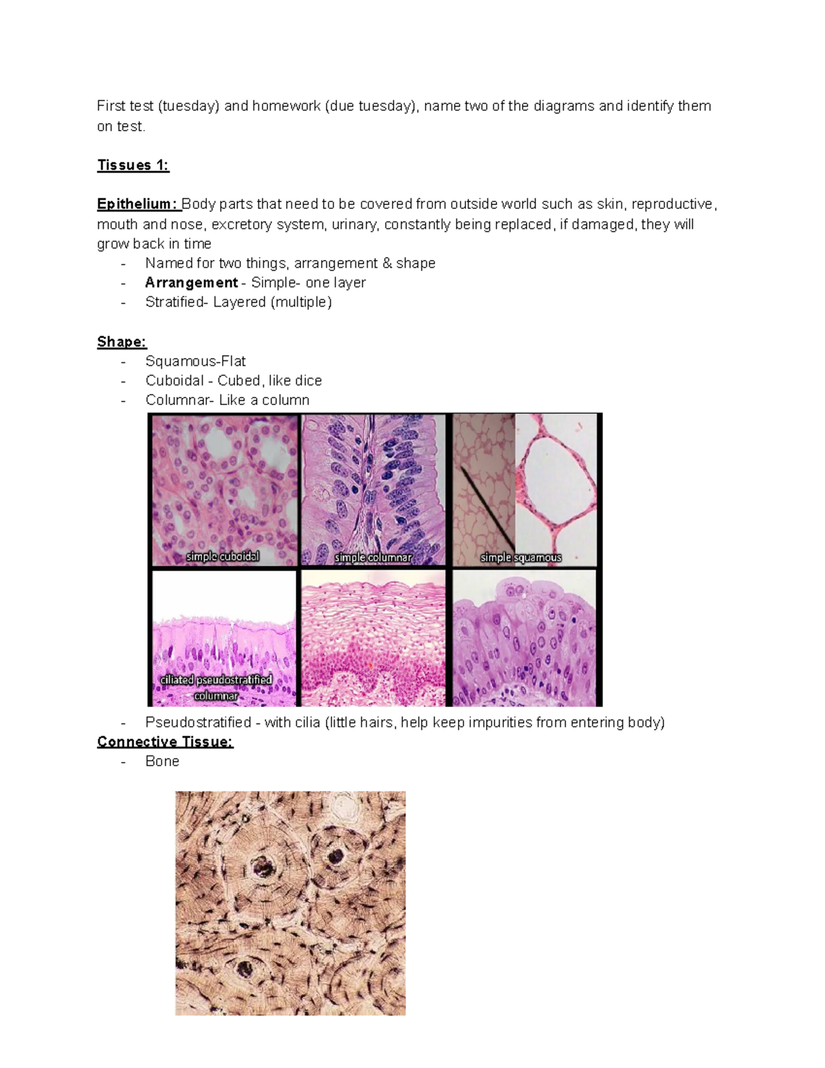 Unit 1 Histology: Anatomy & Physiology Notes for Upcoming Test - Studocu