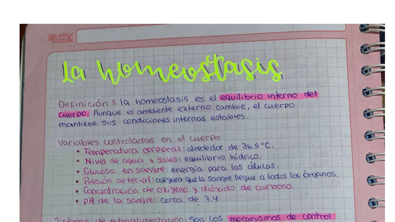 Homeostasis: Mecanismos de Equilibrio Interno del Cuerpo - Apuntes de ...