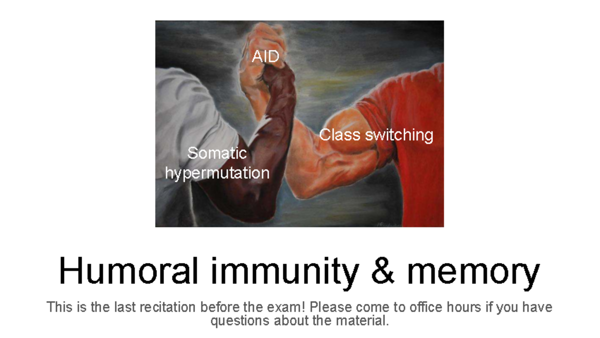 AID Somatic Hypermutation & Class Switching in Humoral Immunity R09 ...