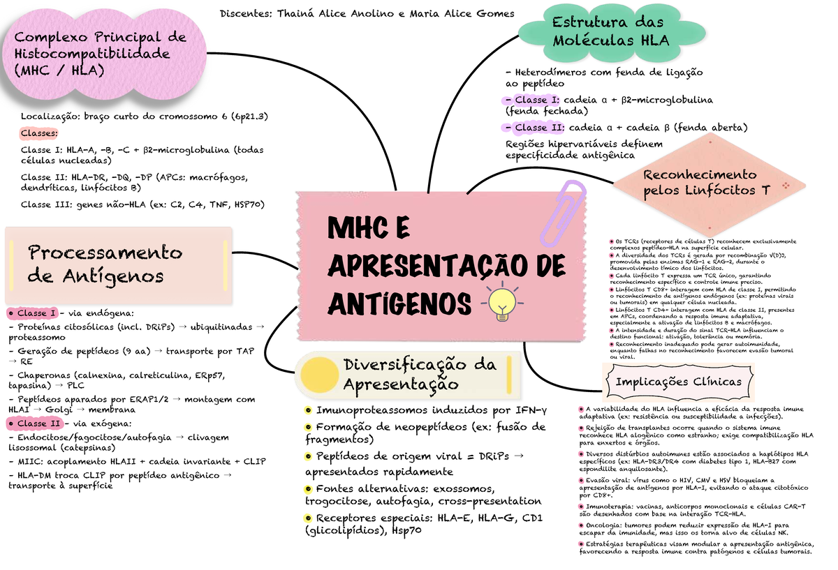 Mapa Mental: MHC HLA e Apresentação de Antígenos - Estruturas e Funções ...
