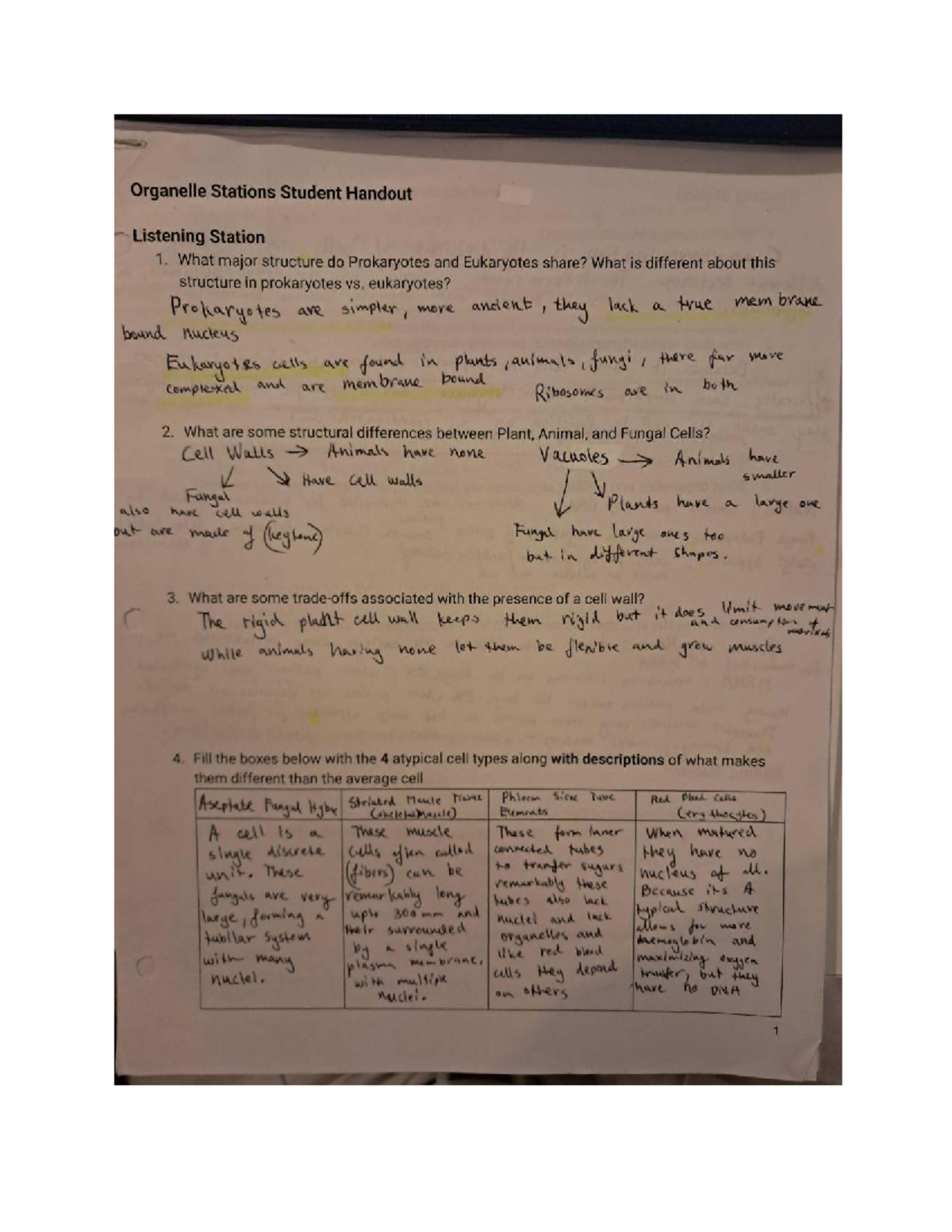 Biology Unit 1 Notes: Key Concepts & Study Guide (HL) - Studocu