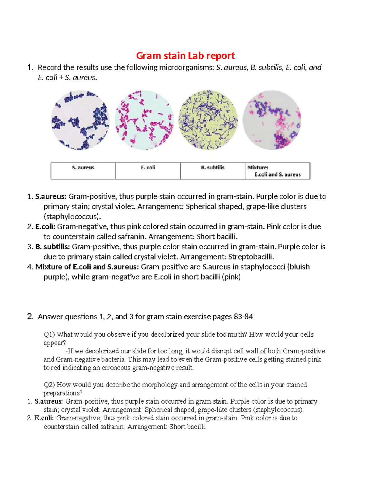 Gram Stain Lab Report: Observations & Analysis of Bacterial Results ...