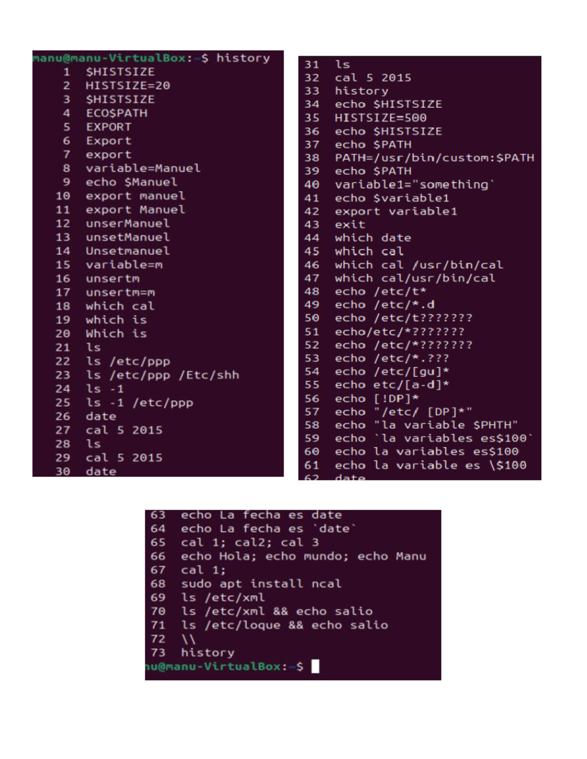 2023030243 Comandosbasicos - manu@manu-VirtualBox:-$ history 31 ls 1 ...