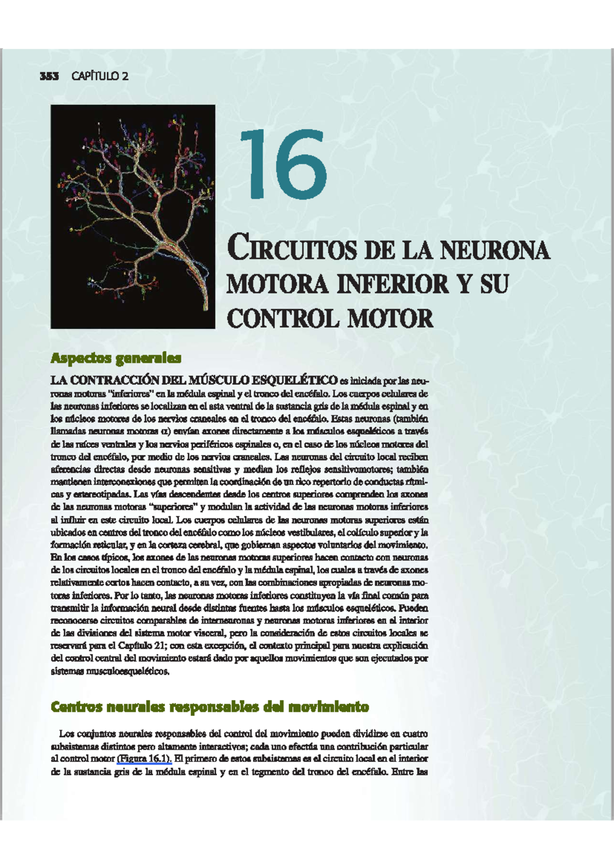 Resumen de Circuitos de la Neurona Motora Inferior y su Control Motor ...