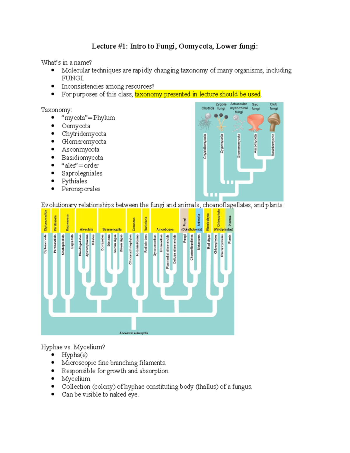 Lecture #1: Introduction to Fungi, Oomycota & Lower Fungi Analysis ...