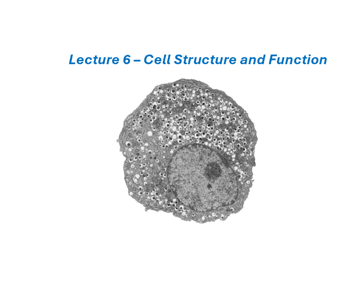 Lecture 6: Cell Structure & Function - Membrane Compartments Overview ...